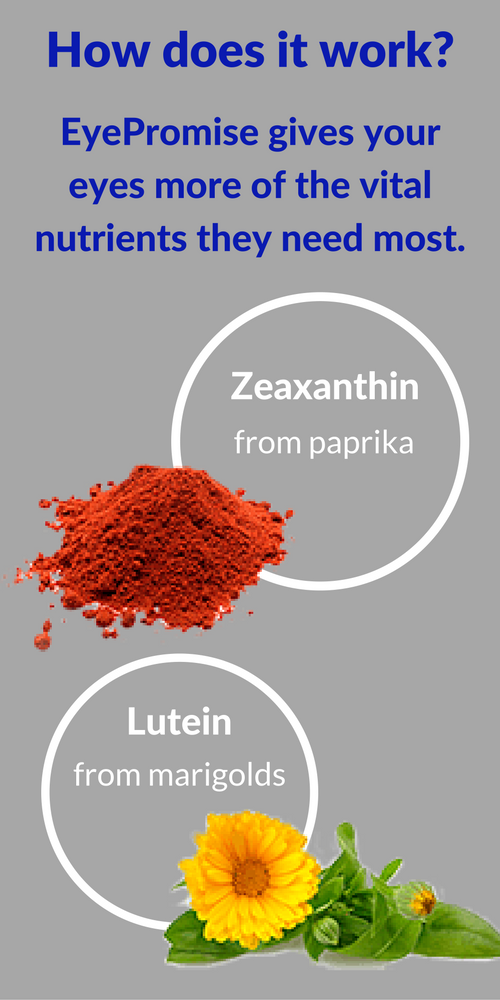 Increase visual processing speed. React Faster.